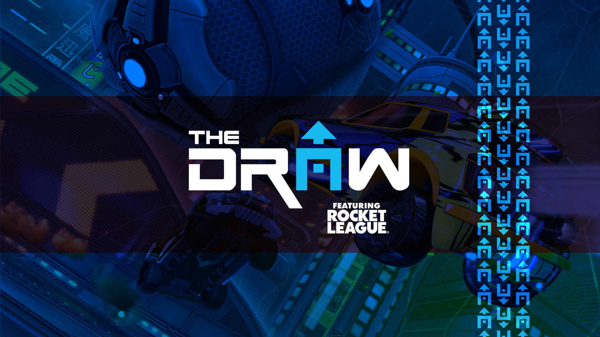 The Draw | Details