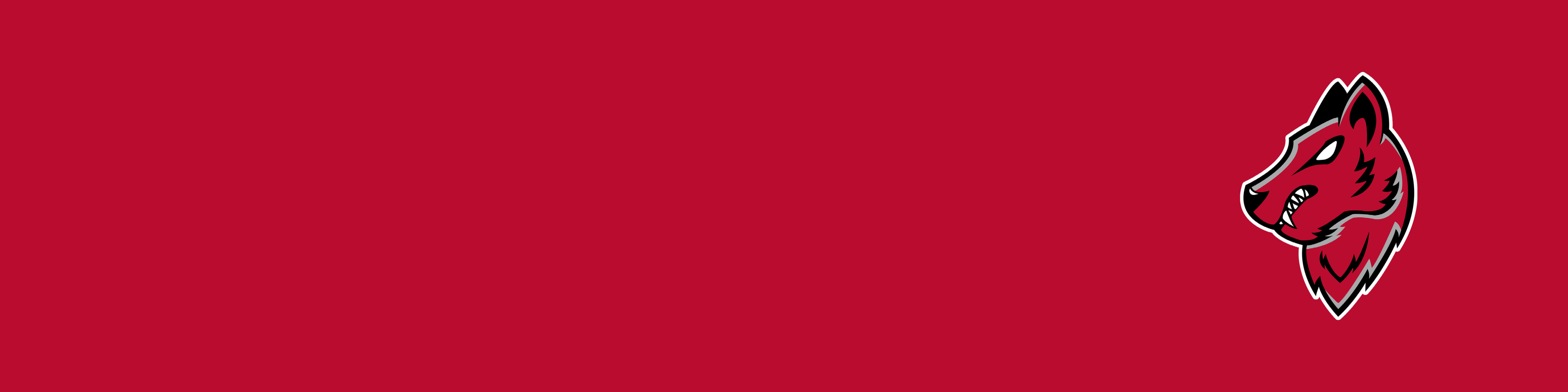 UNM Esports | Details