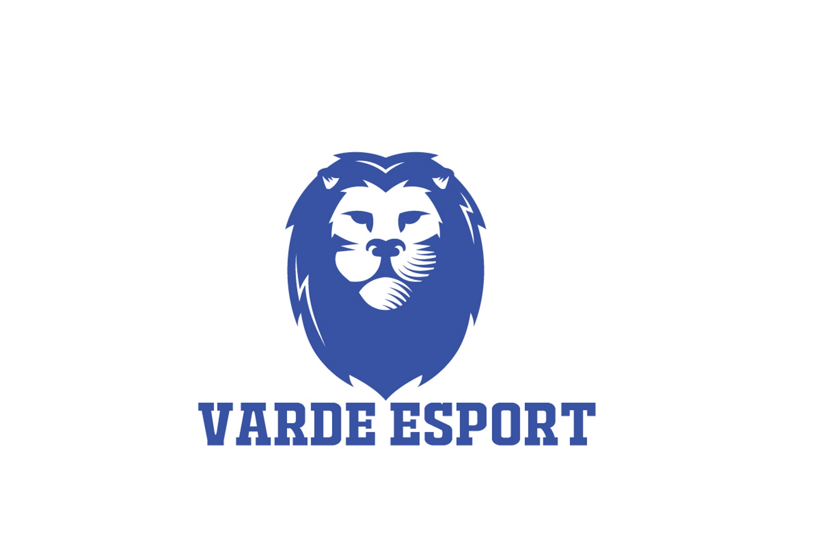 Varde Esport | ... | Events