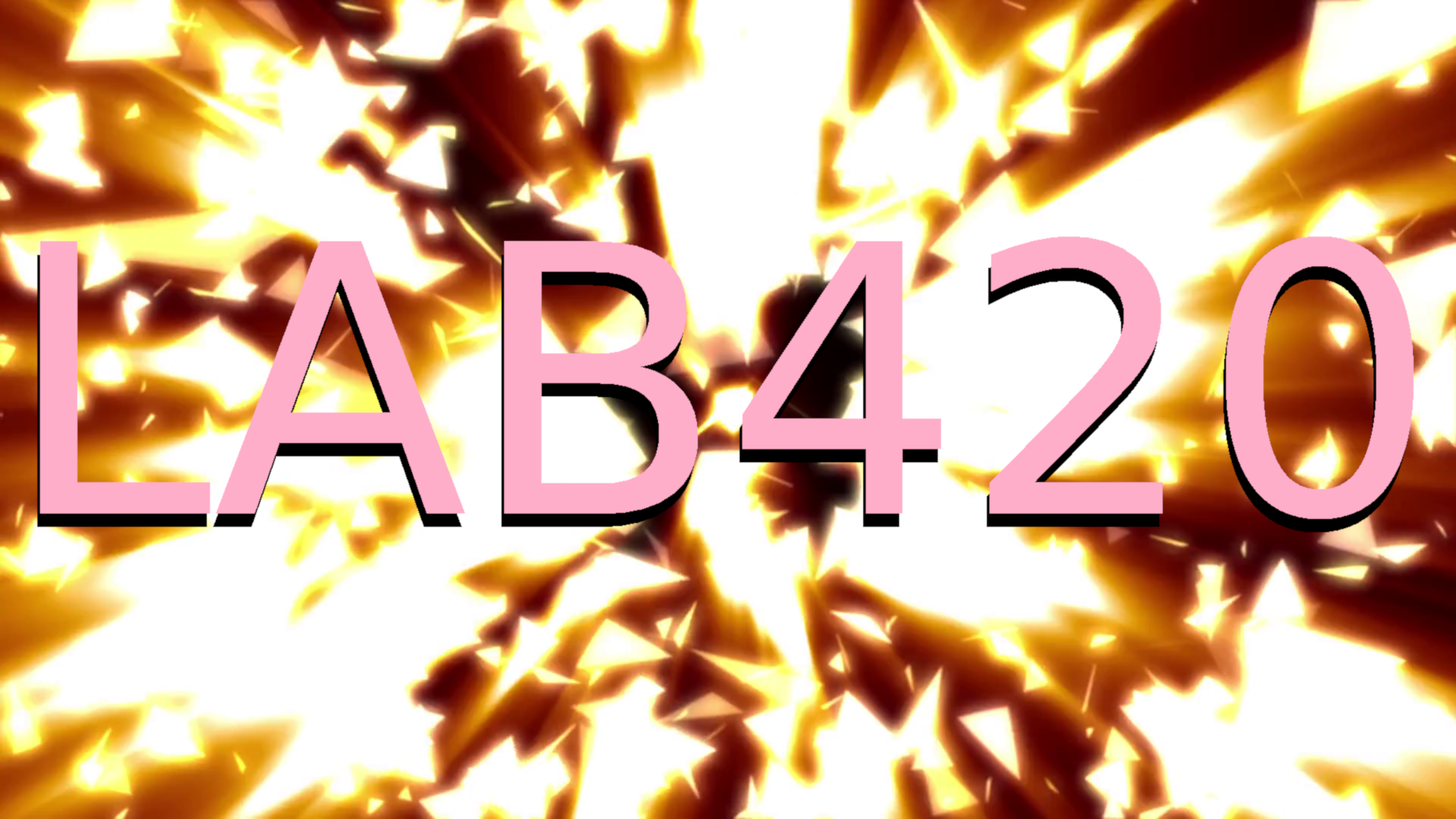 LAB420 Long Bea... | Details