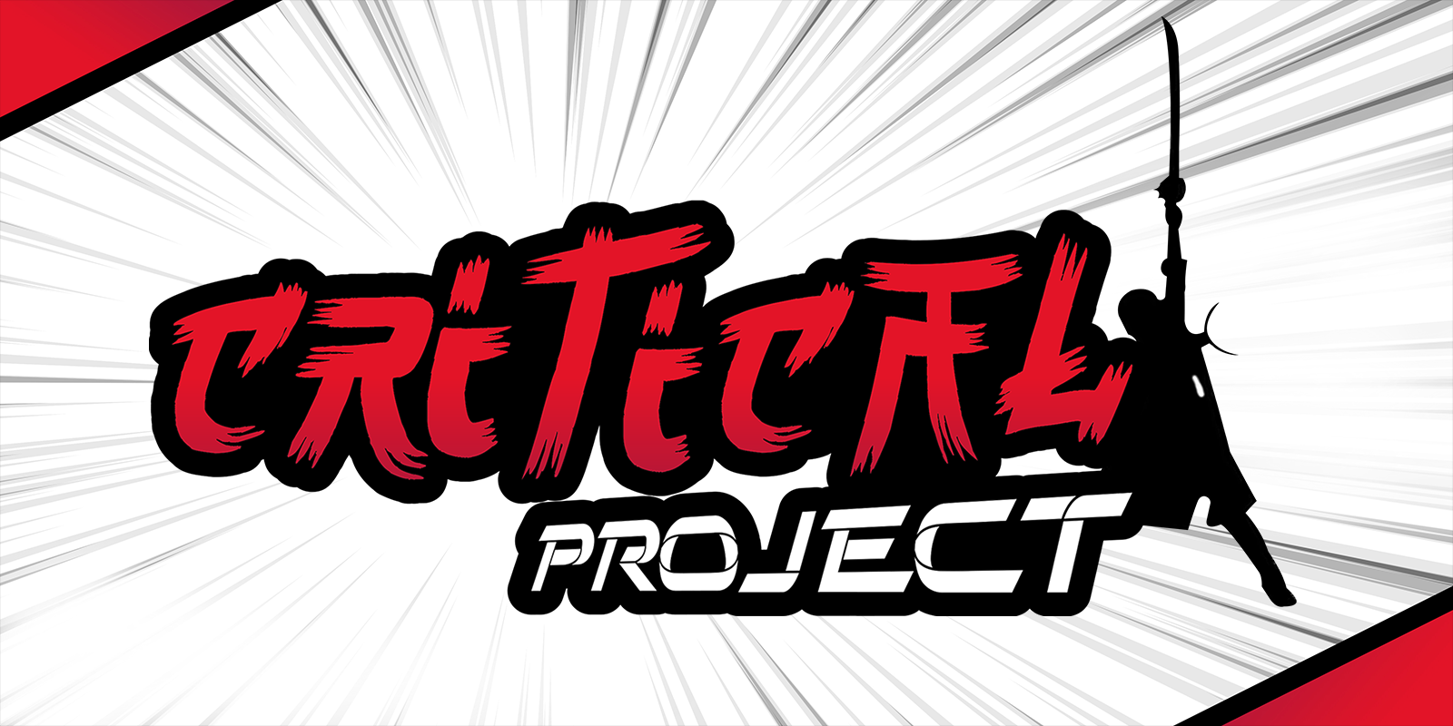 Critical Project | Details