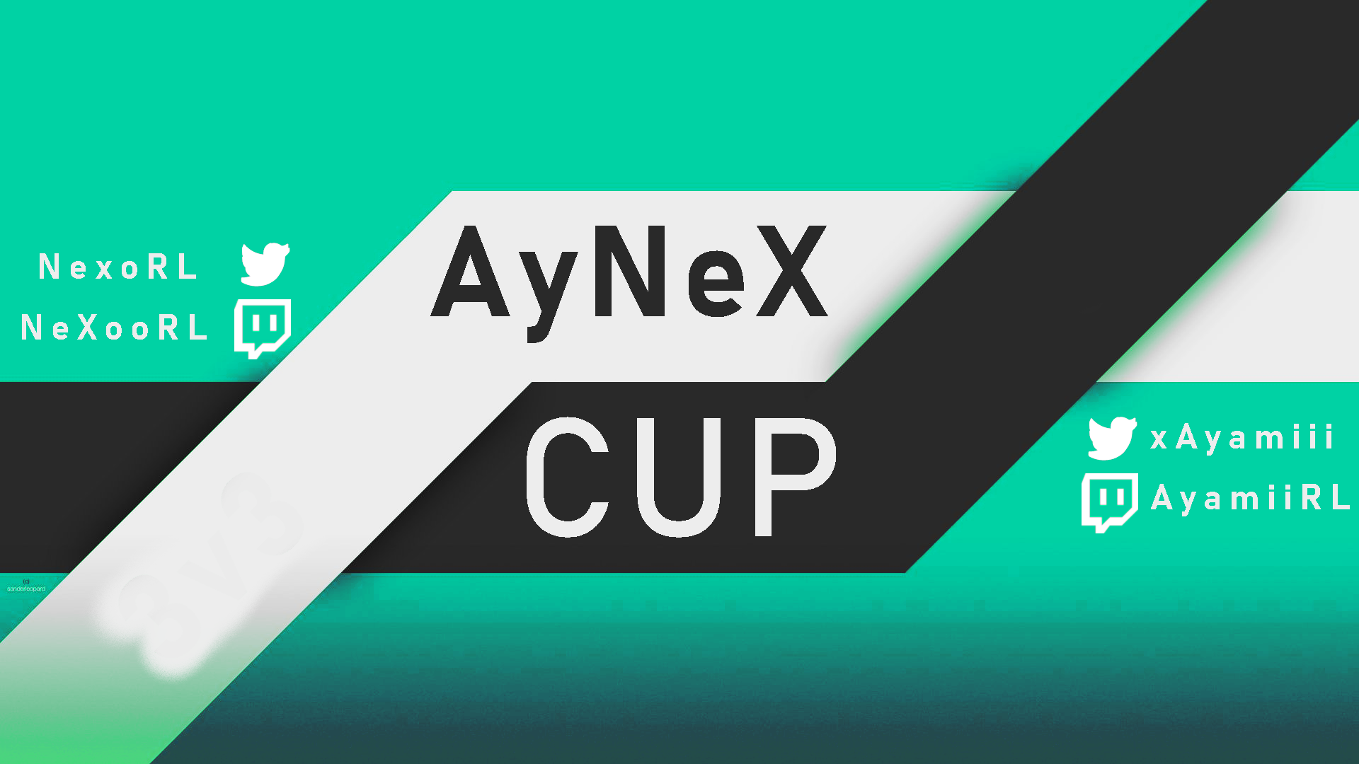 Aynex Cup Details