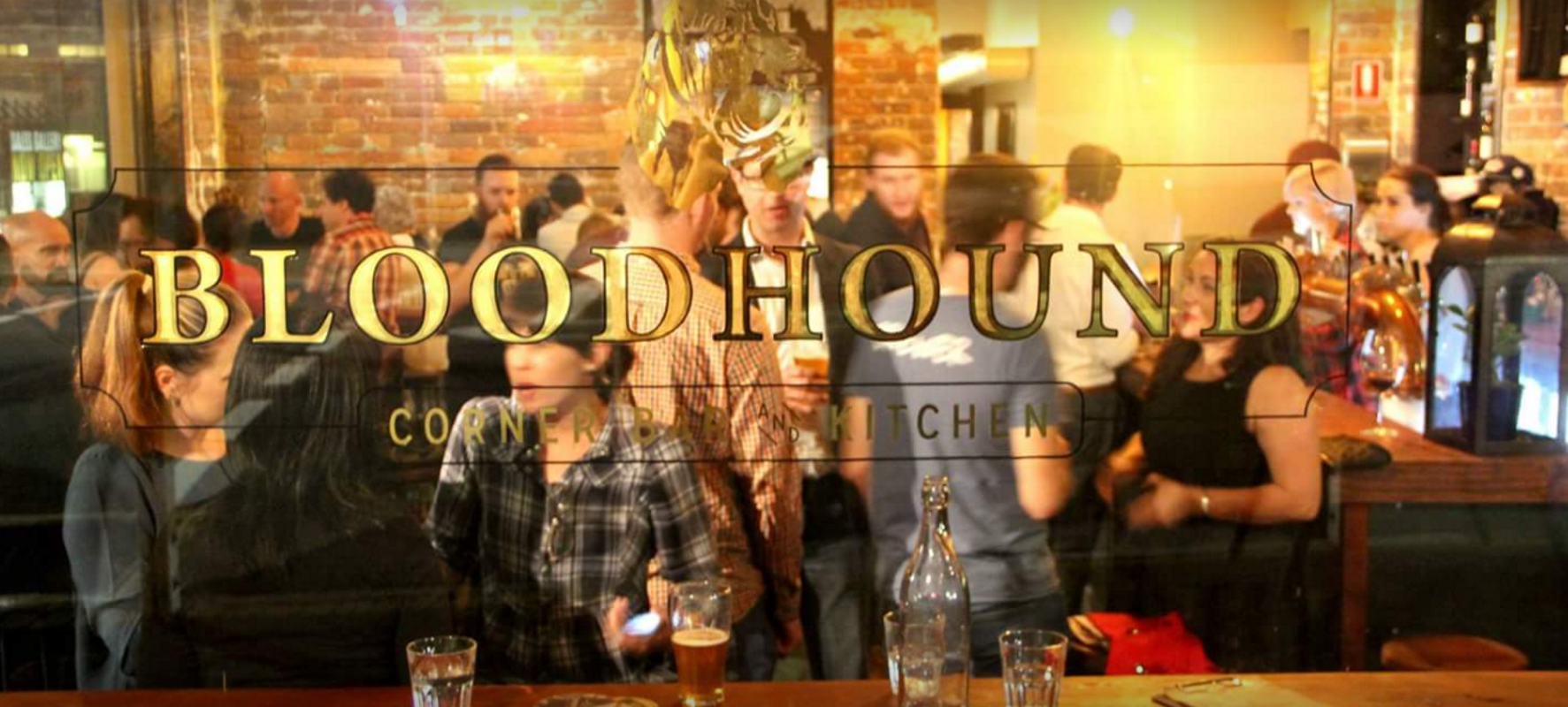 Bloodhound // T... | Brackets