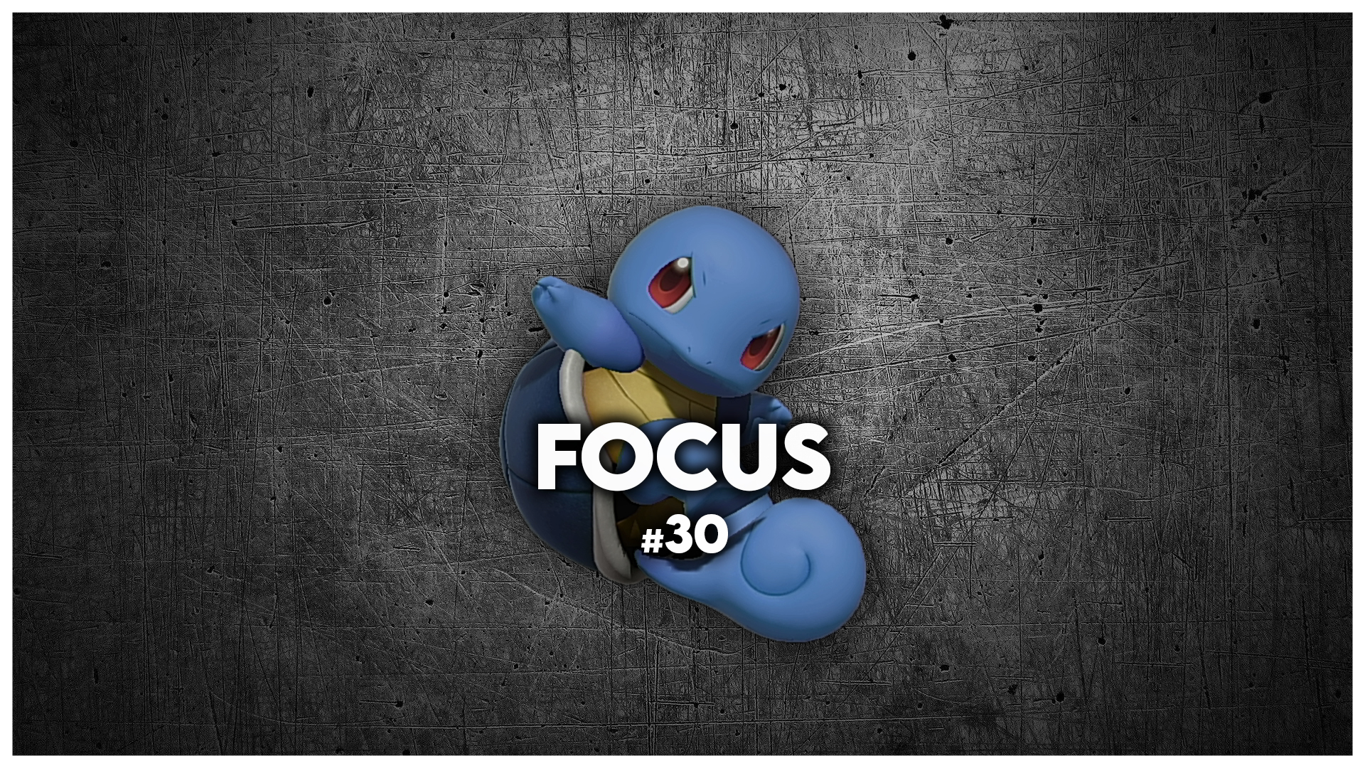 Focus 30 Details