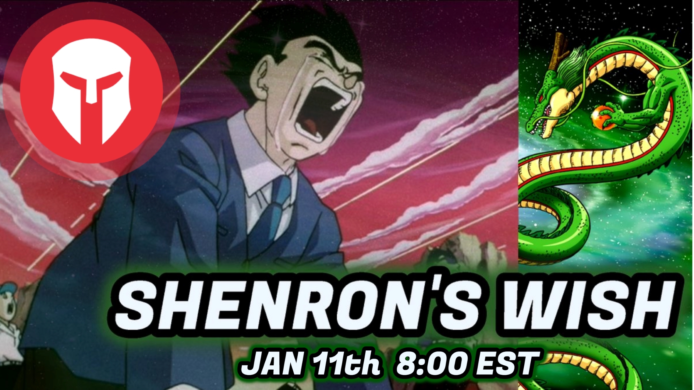 SHENRON'S WISH #2 | Details