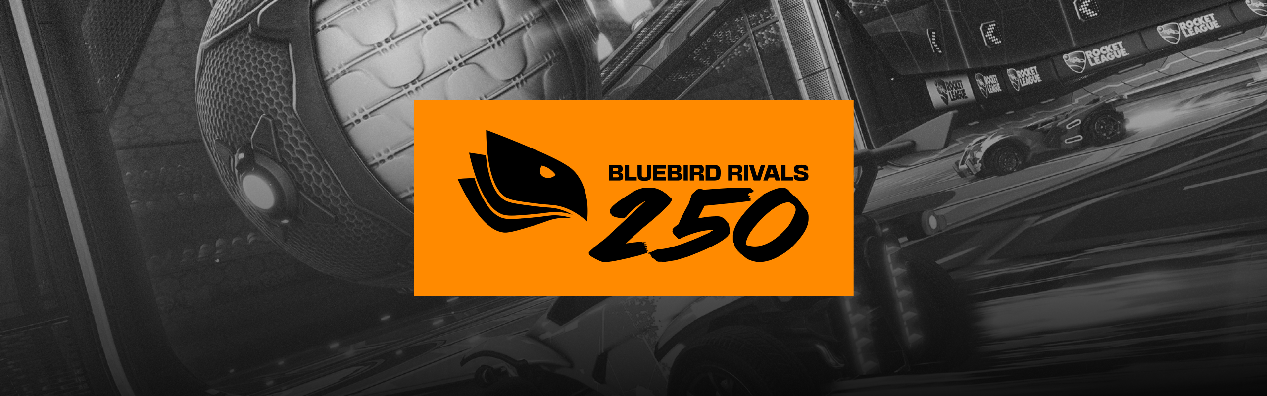 BlueBird Rivals... | Details