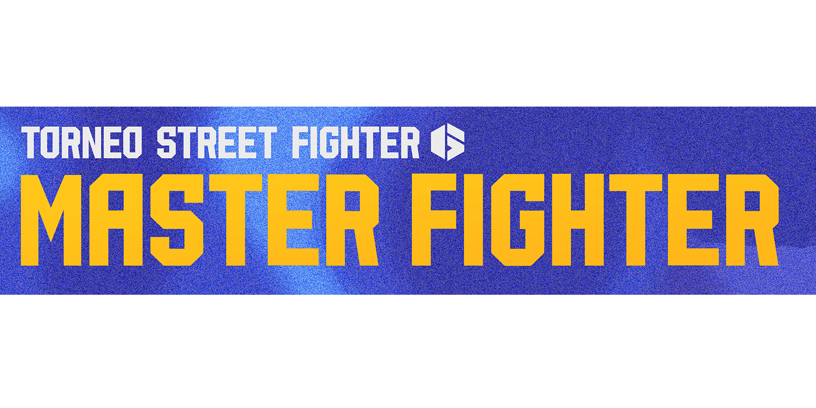 Master Fighter | Details