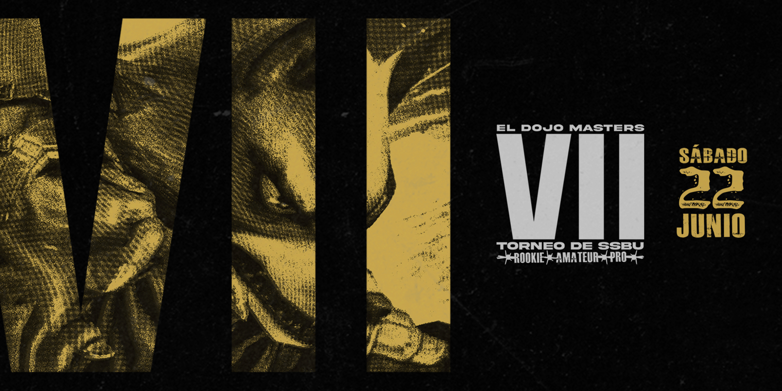 EL DOJO MASTERS... | Details