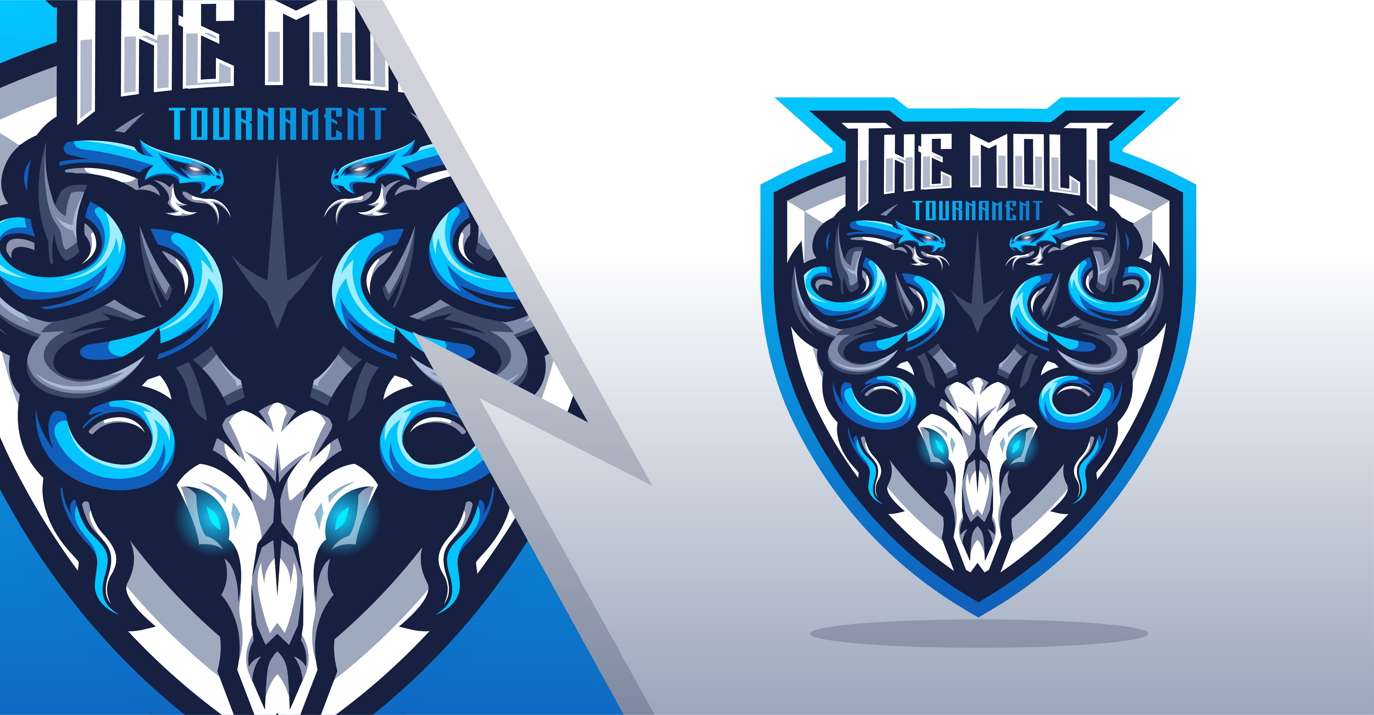 Molt Online #3 | Details
