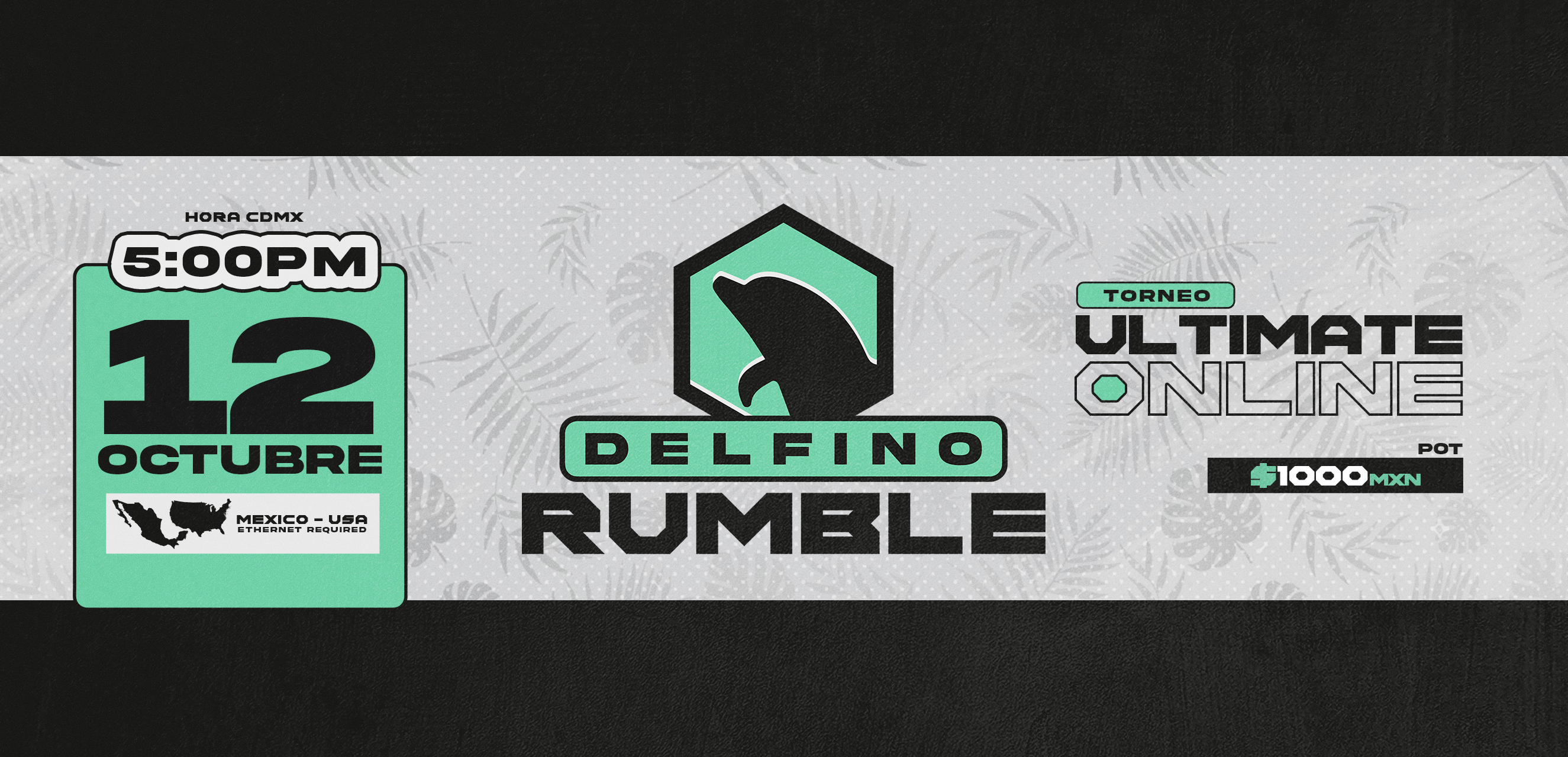 Delfino Rumble | Details