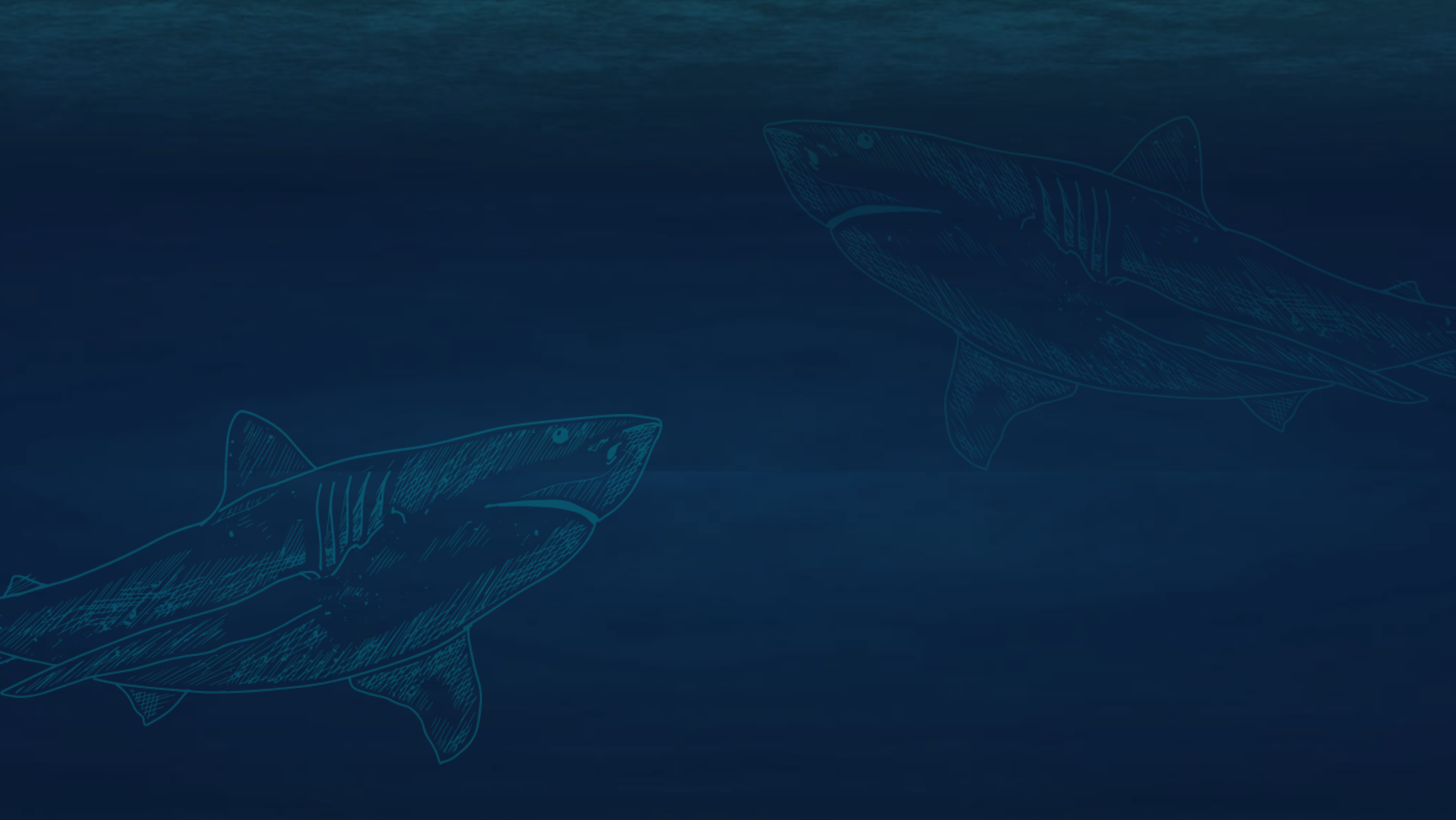 Shark Tank Fall... | Events