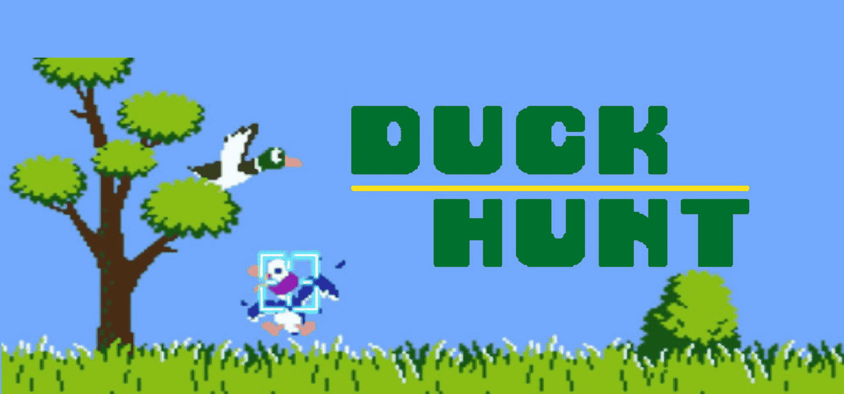 Duck Hunt 81 - ... | Stats