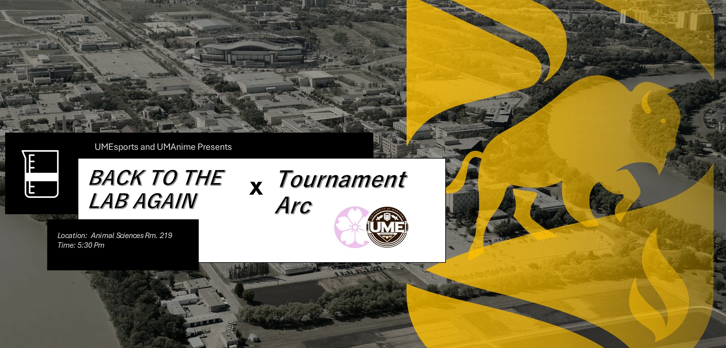 Back to the Lab... | Brackets