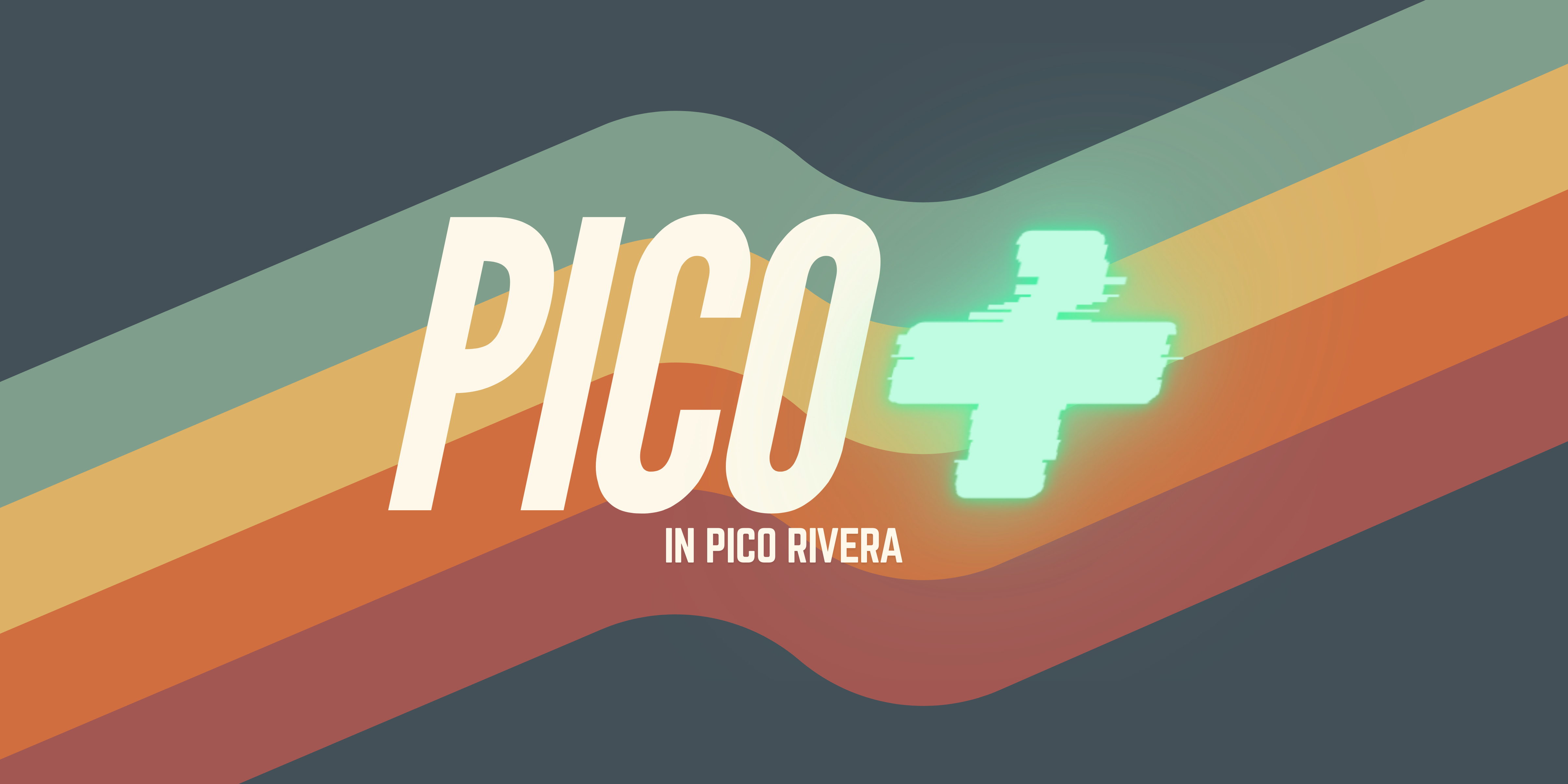 Pico Plus #8 | Details